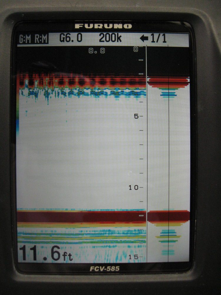 Furuno FCV-585 Sounder Head Unit - TESTED WORKING - Max Marine Electronics