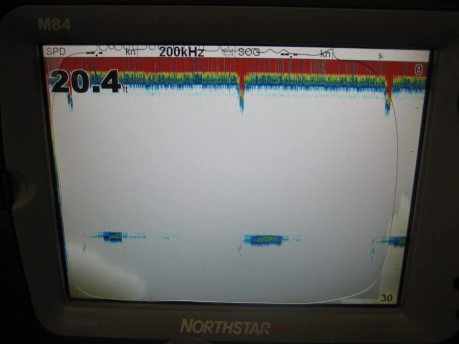 Northstar M84 (Navman 8084 Simrad NX40) MFD Display - Tested & Working ...