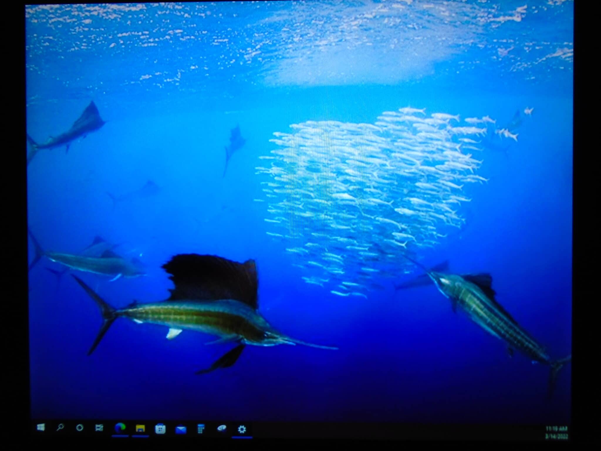 Aydin KEP Displays 17″ Marine Display -(KMGB17)- Glass Bridge Display ...