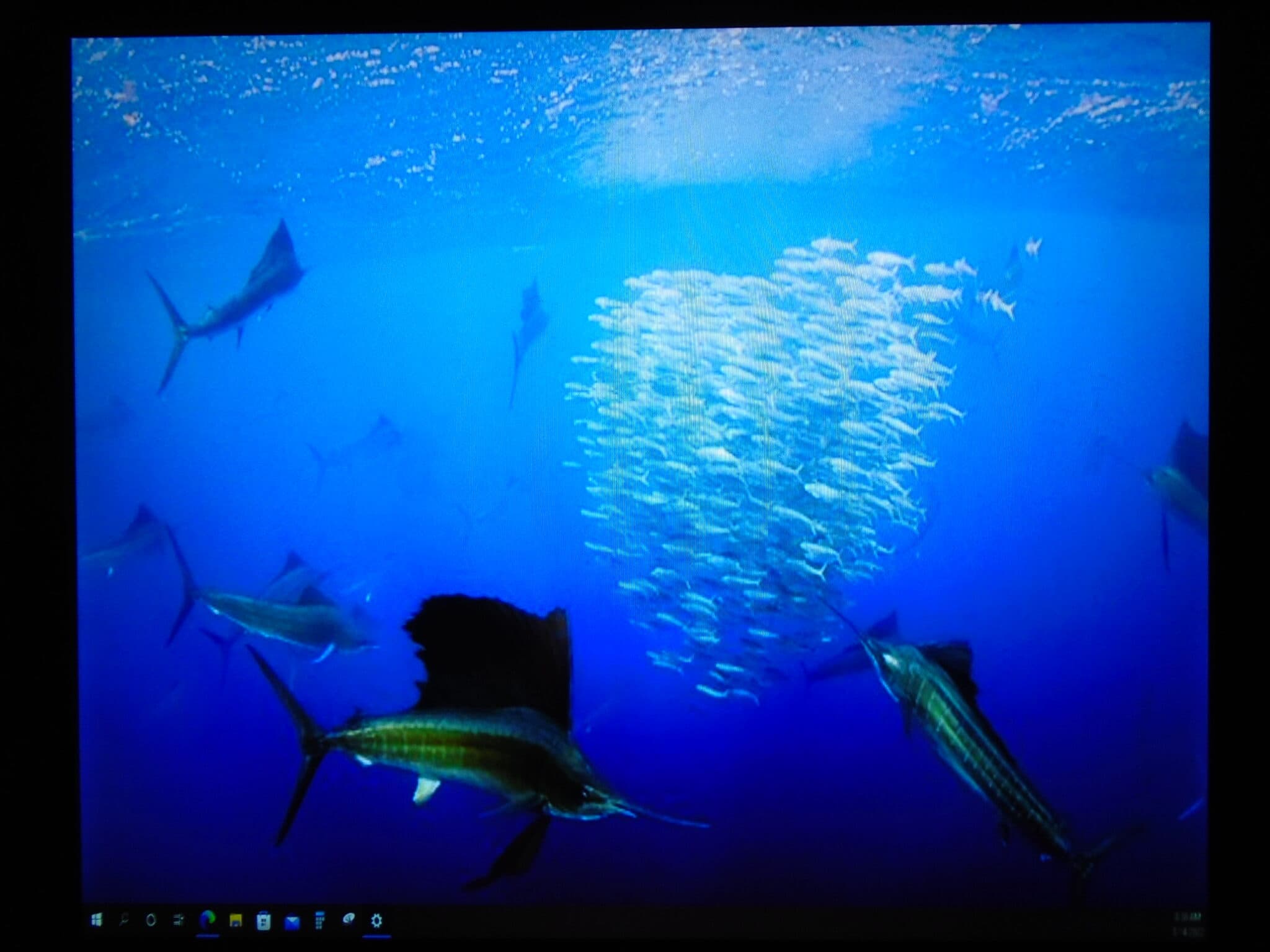 Aydin KEP Displays 17″ Marine Display - KMGB17 Glass Bridge Display ...