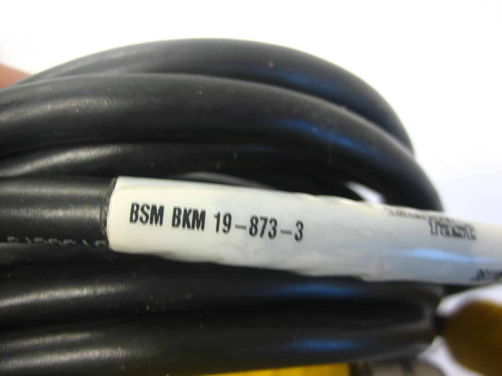 Turck U-38141 BSM BKM 19-873-3 Automation Cable Cordset - Max Marine ...