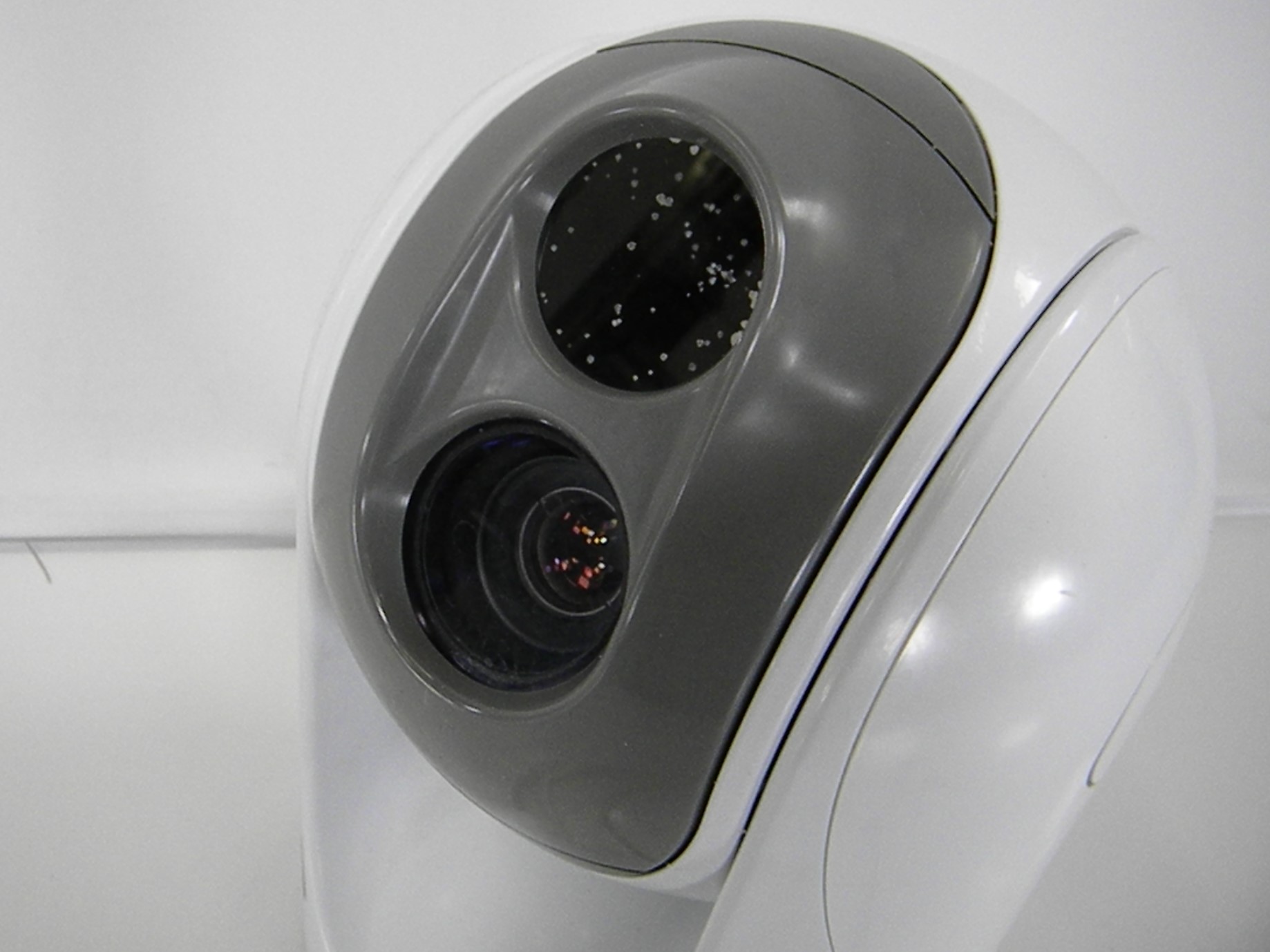 Raymarine FLIR T-Series T450 Dual Payload Thermal Imaging Camera ...