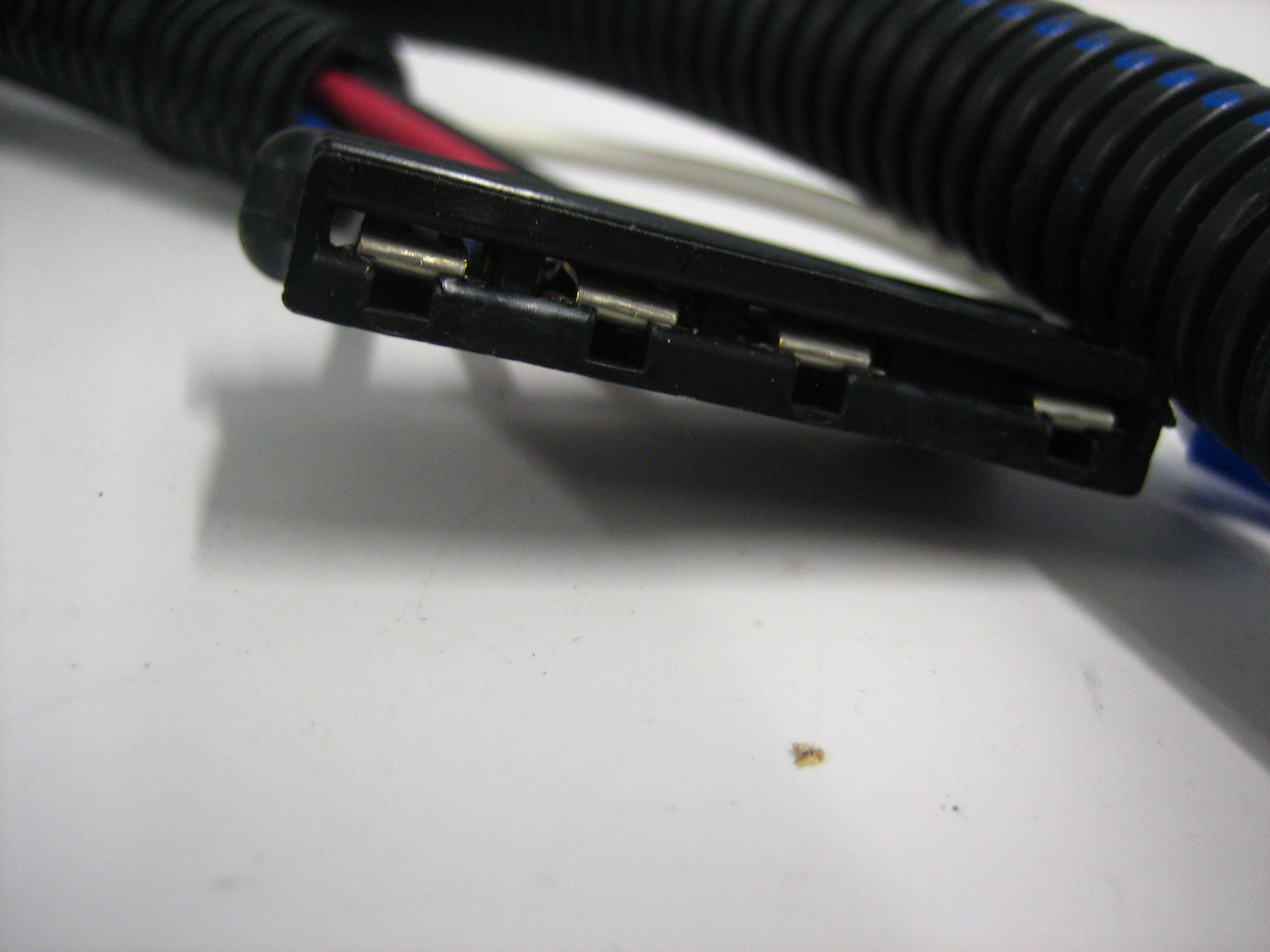 Balmar 1010 Wire Harness for ARS5 or MC618 Regulator to 6 Series XT ...
