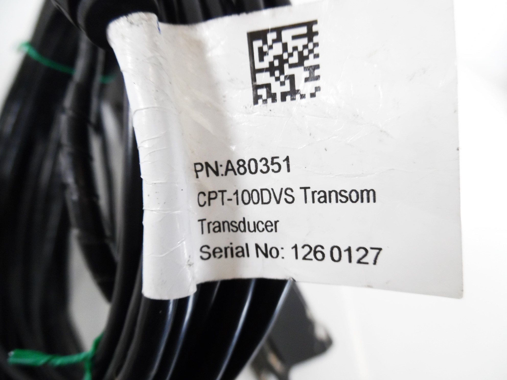 Raymarine CPT-100DVS CHIRP DownVision Transducer - A80351* w/TSS-RM-2 ...