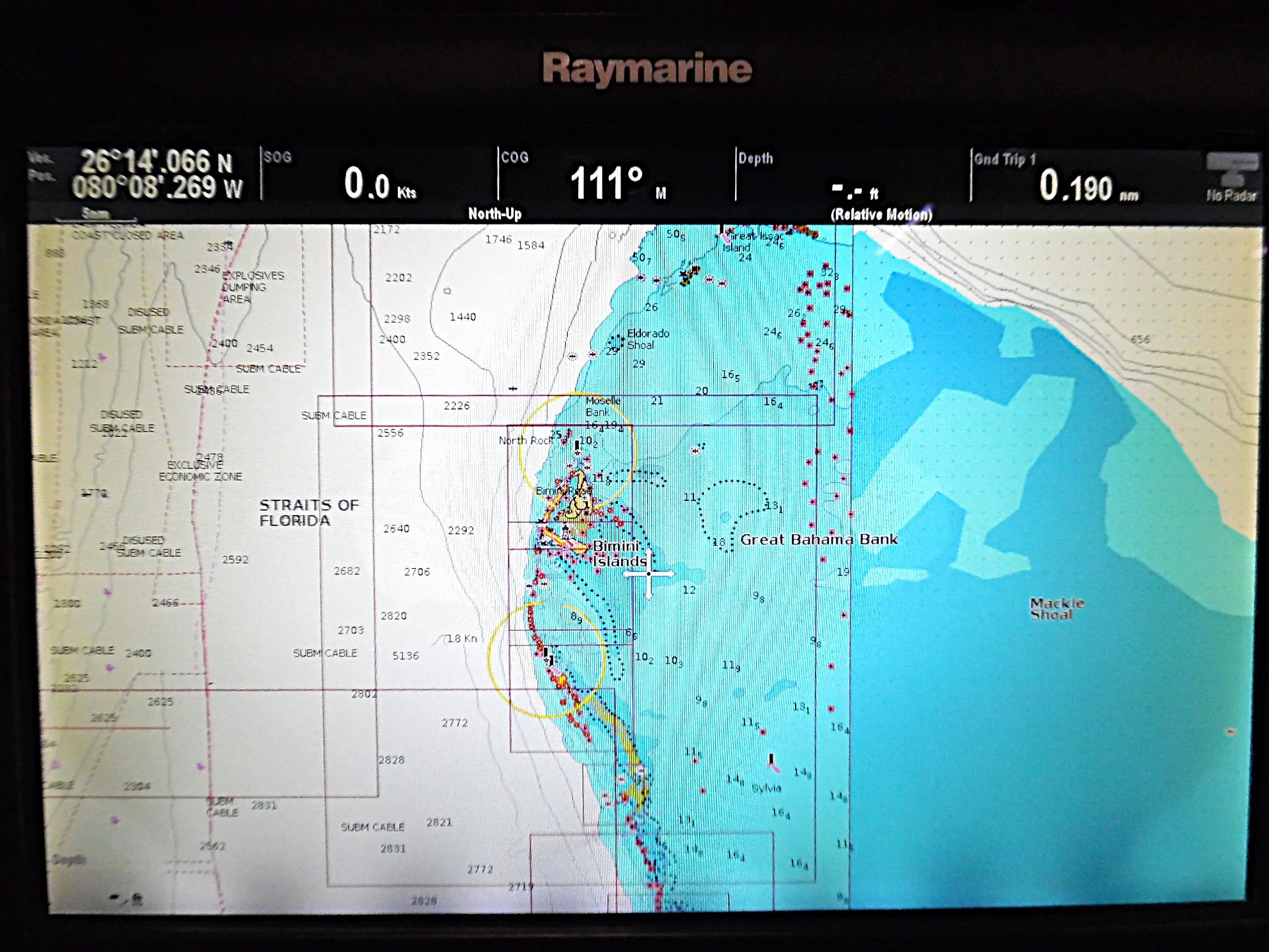 Navionics Platinum+ Central & South Florida MicroSD 8GB MSD/632P ...